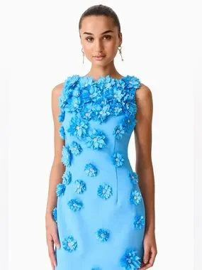 Elliatt | Dresses | Elliatt Dali Floral Applique Gown In Blue | Poshmark